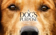 10 Of The Best Quotes From A Dog s Purpose Quote Catalog 10 Of The Best Quotes From A Dog s Purpose Quote Catalog