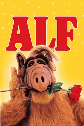 25+ Best "ALF" Quotes | Quote Catalog